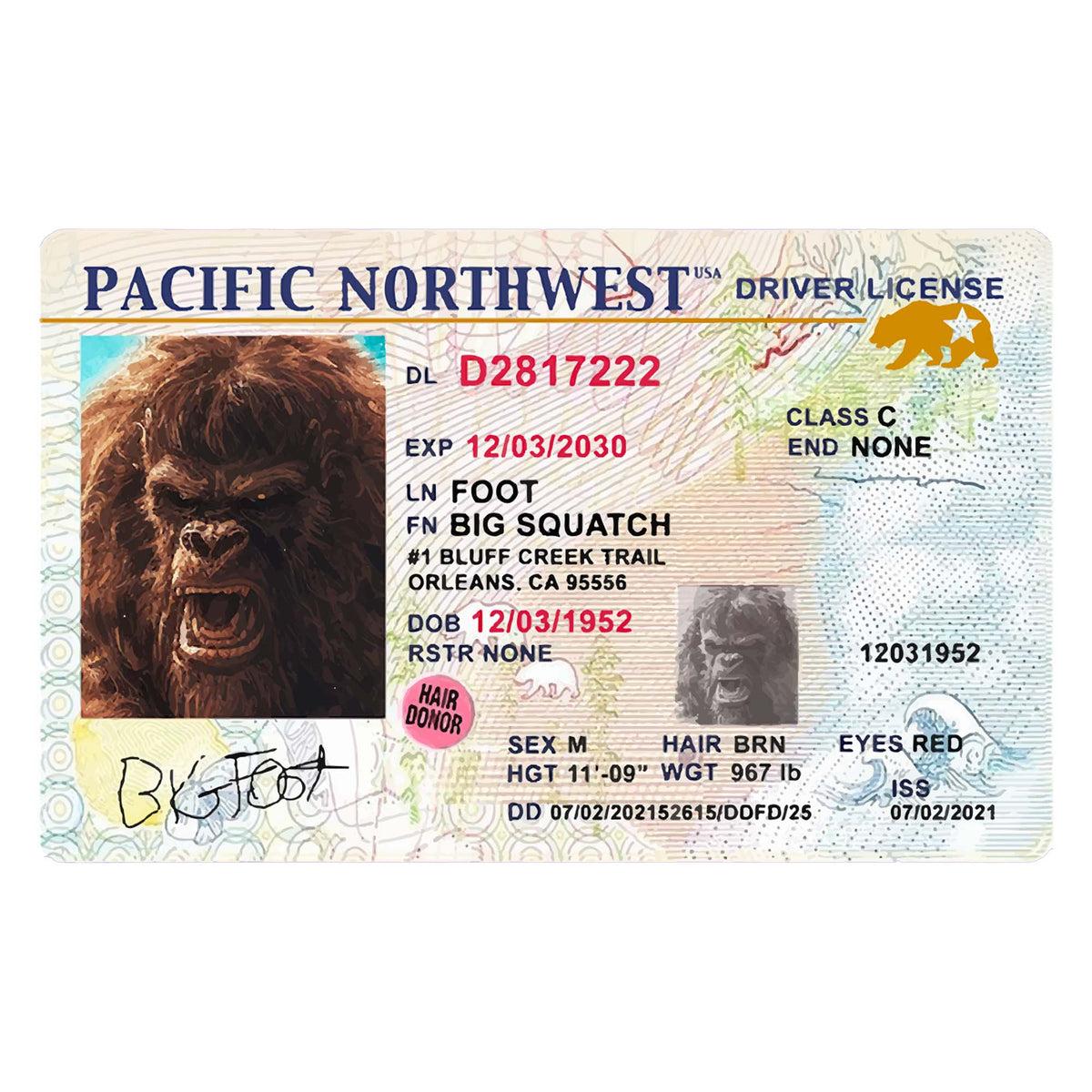 Bigfoot Drivers License - Vinyl Sticker – Squatch Metalworks